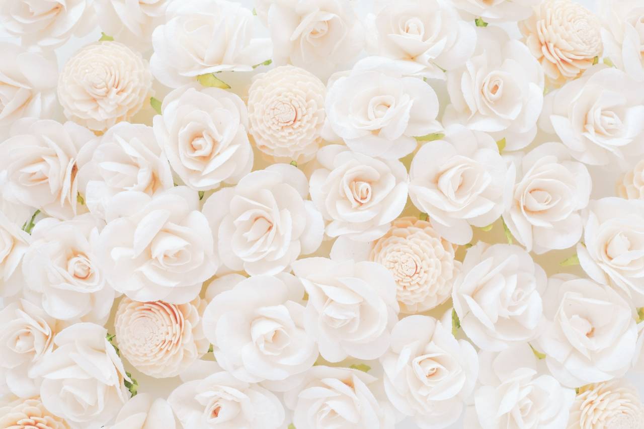 結婚相談所で女性から申込みすることで成婚の確率が上がる理由と実践ポイント | お役立ちコラム | 奈良の結婚相談所ならブライダルサポート HaRiS mariage