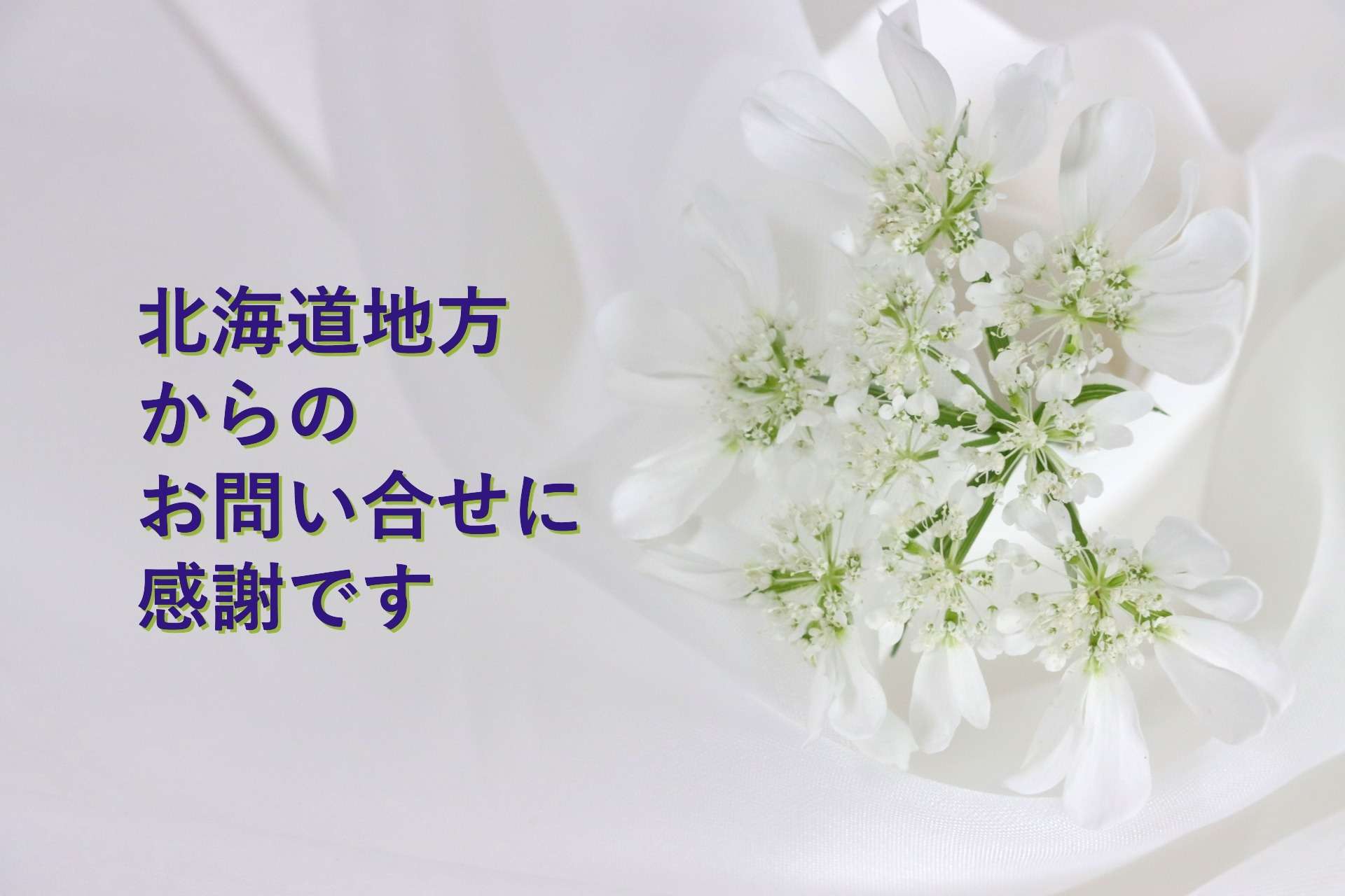 北海道からのお問い合せに感謝 | hanaさんのブログ | 奈良の結婚相談所ならブライダルサポート HaRiS mariage